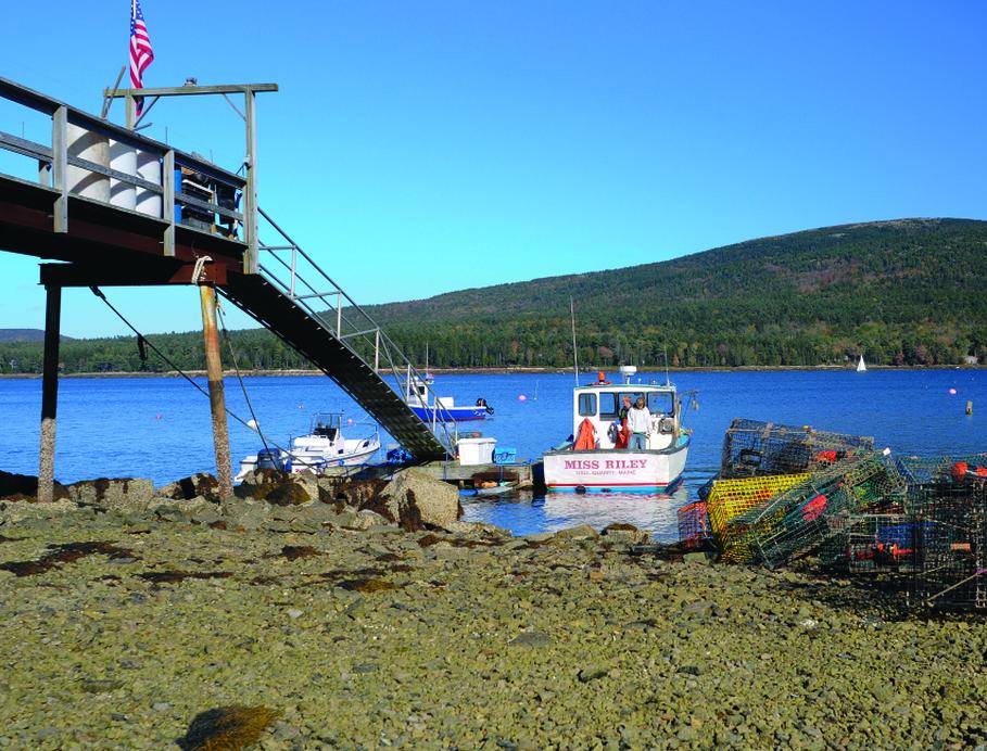 Ronnie Musetti, Lobsterman | Maine Boats Homes & Harbors